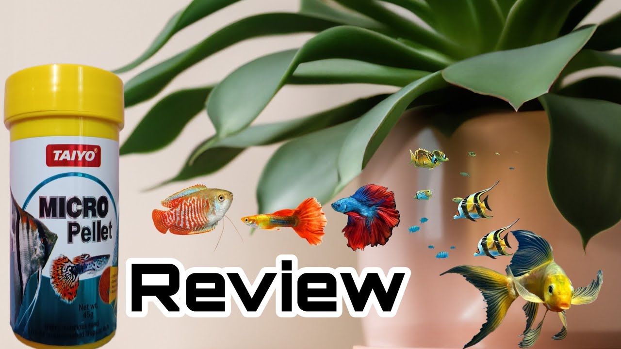 Taiyo Micro pellets Review || தமிழ் || Guppy bytes #taiyo #fishfood # ...