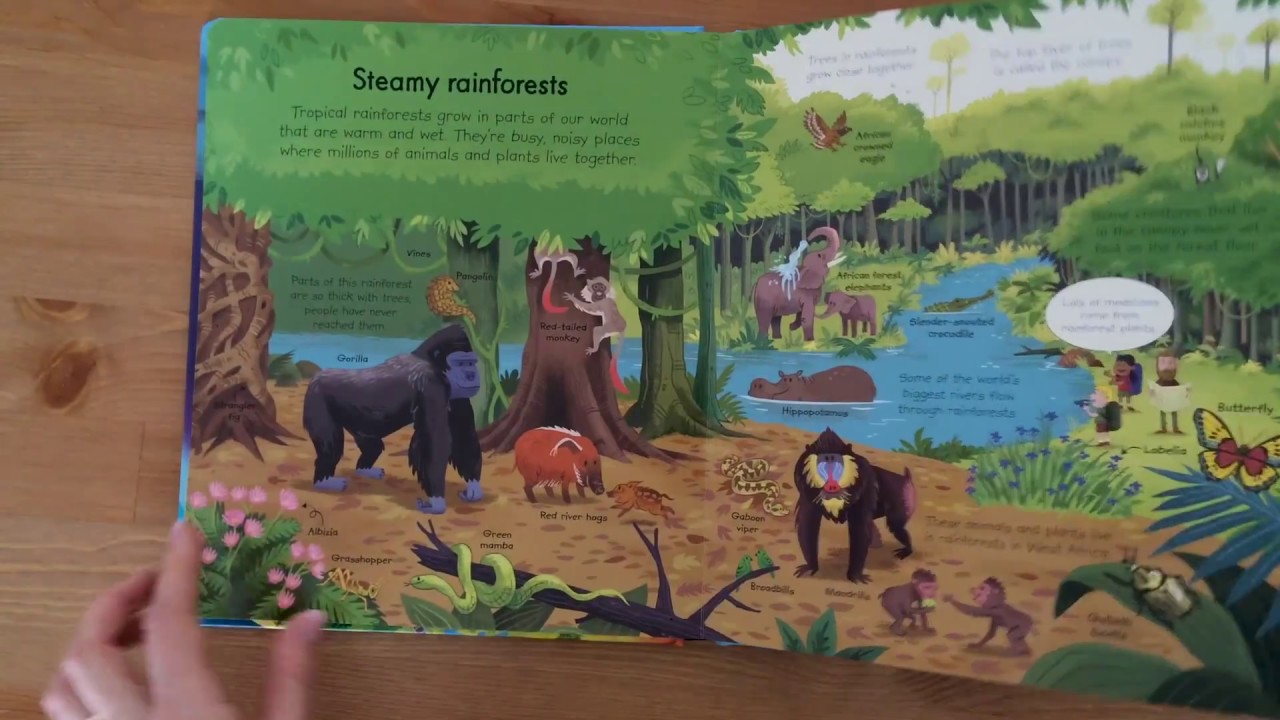 My Very First Our World Book - Usborne - YouTube