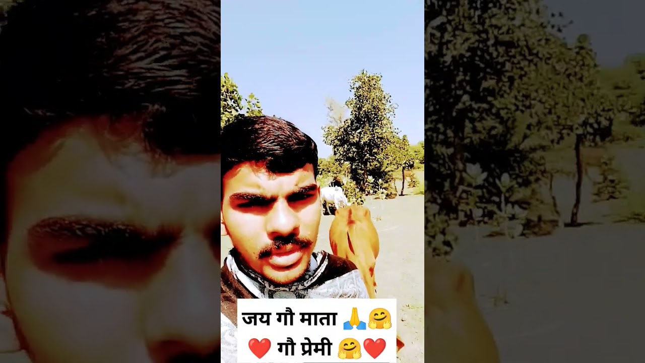 जय गौ माता 🙏🐄 jai go mata 🙏🚩 #go_mata #short - YouTube