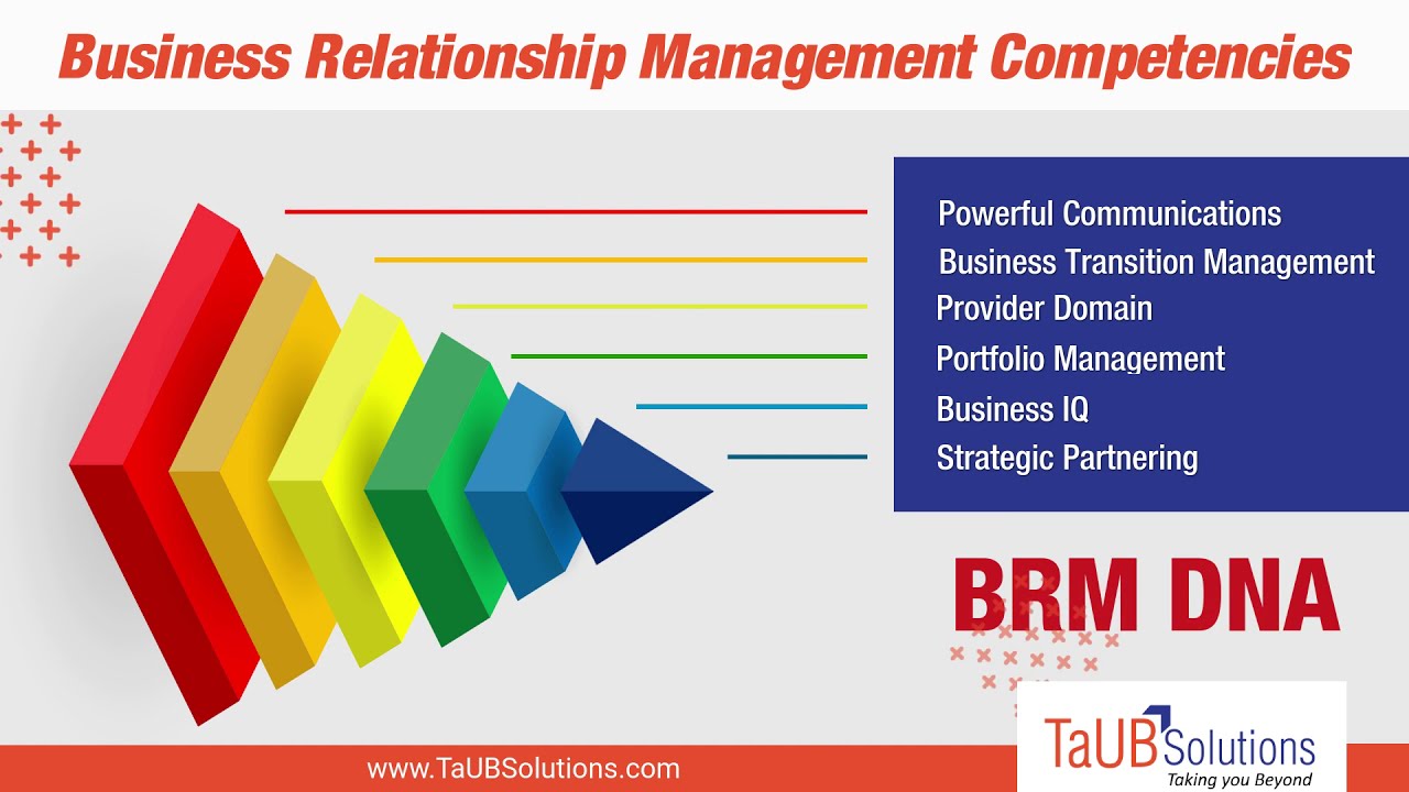 The 6 key competencies - BRM DNA - YouTube