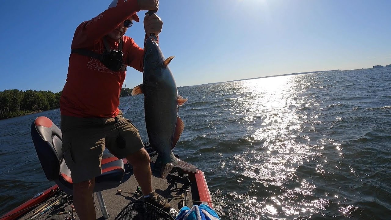 Big Channel Cats, Trying New Baits - YouTube