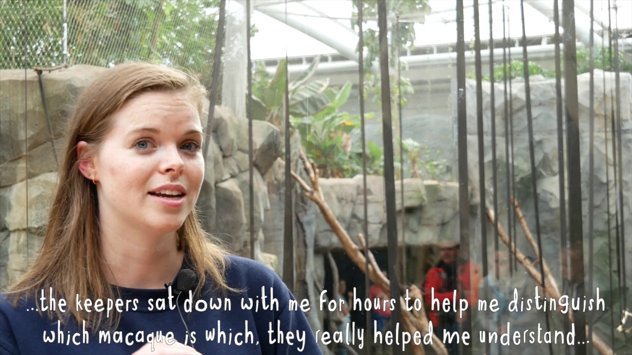 Learn at Chester Zoo - Understanding how the zoo environment affects ...