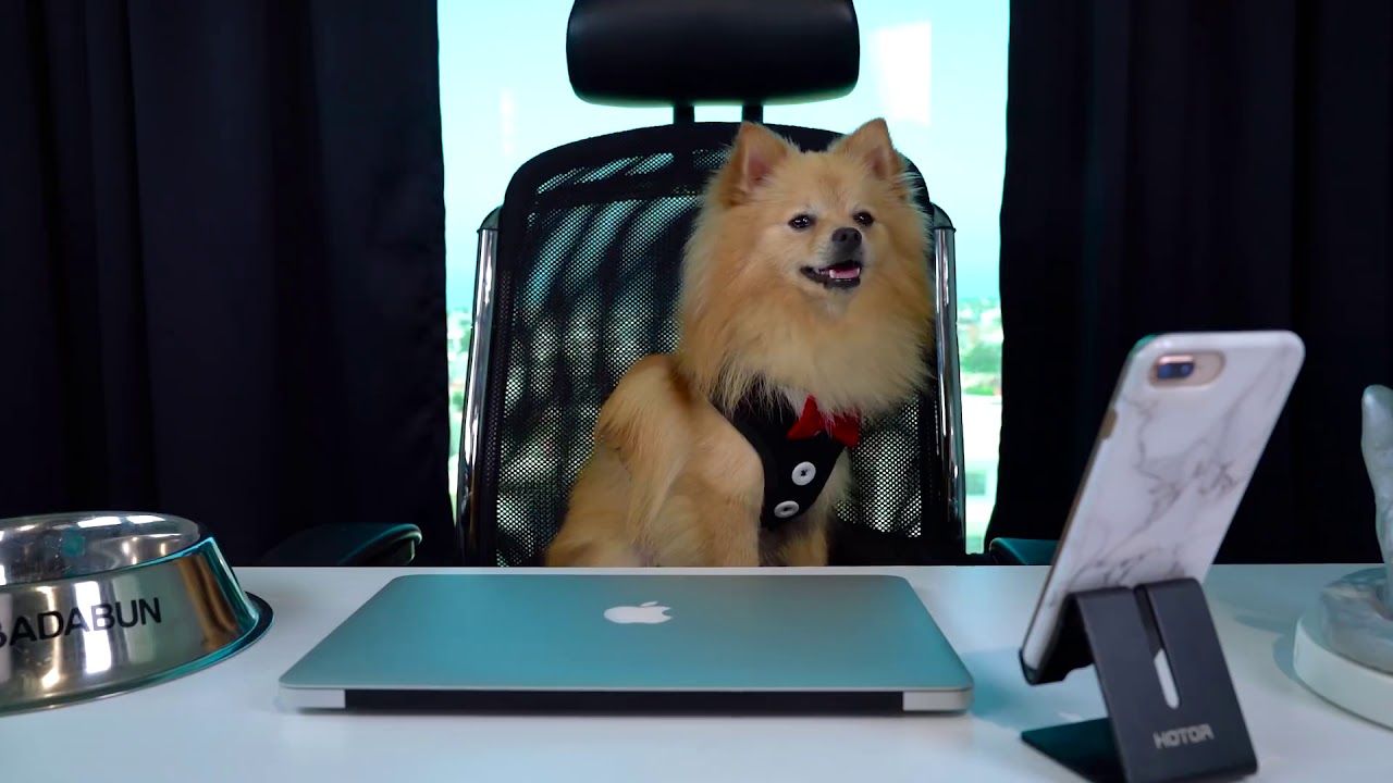 Ep.1 Jukito se transforma en avengers |Juki Dog - YouTube