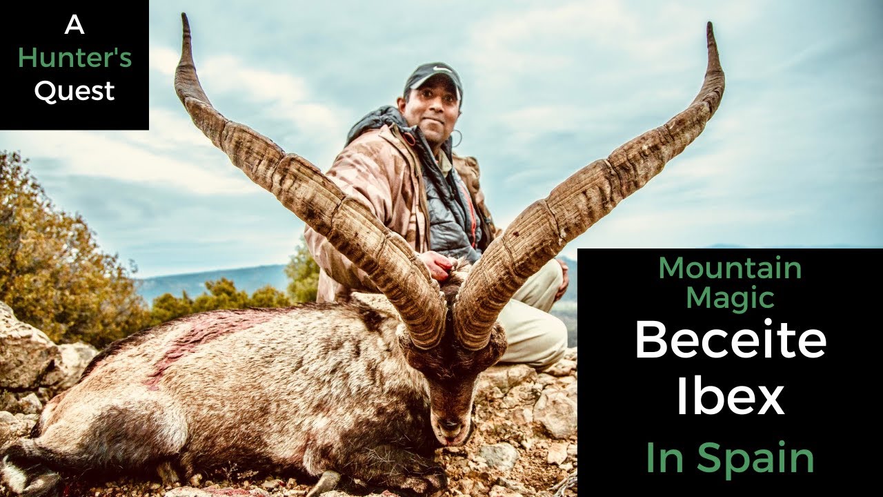 The Pursuit of a Giant Beceite Ibex in Spain - YouTube