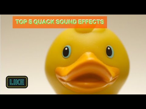 Top 5 Quack Sound Effects - YouTube