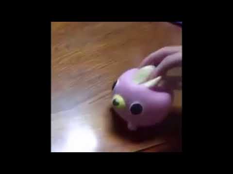 Dünyanın en şirin videosu