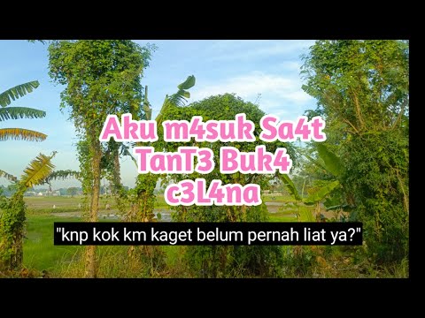 Kisah Nyata  Numpang Dirumah Tante