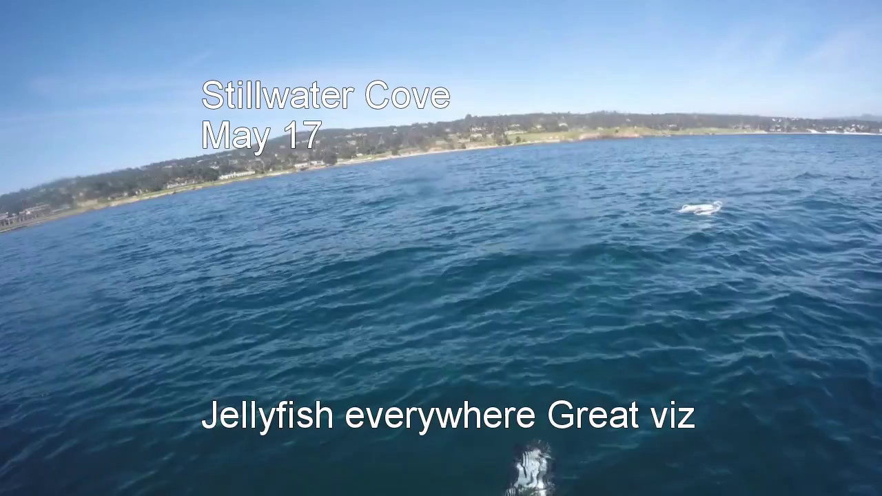 Stillwater Cove May 2017 Freediving - YouTube