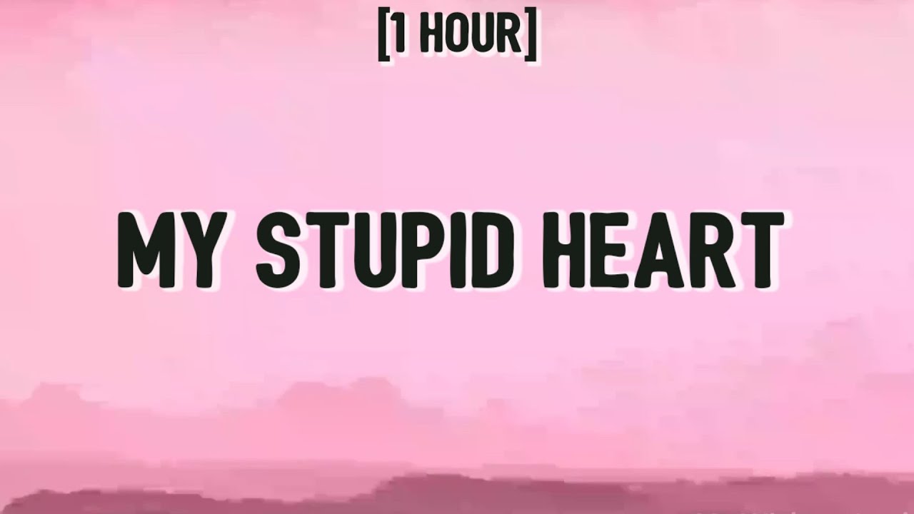 MY STUPID HEART [Lyric] Kids Version, 49% OFF