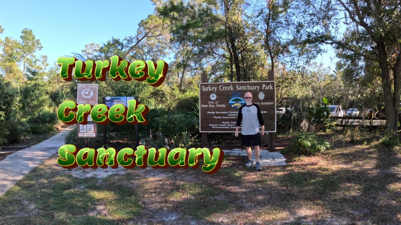 Turkey Creek Sanctuary - Palm Bay, Florida - YouTube
