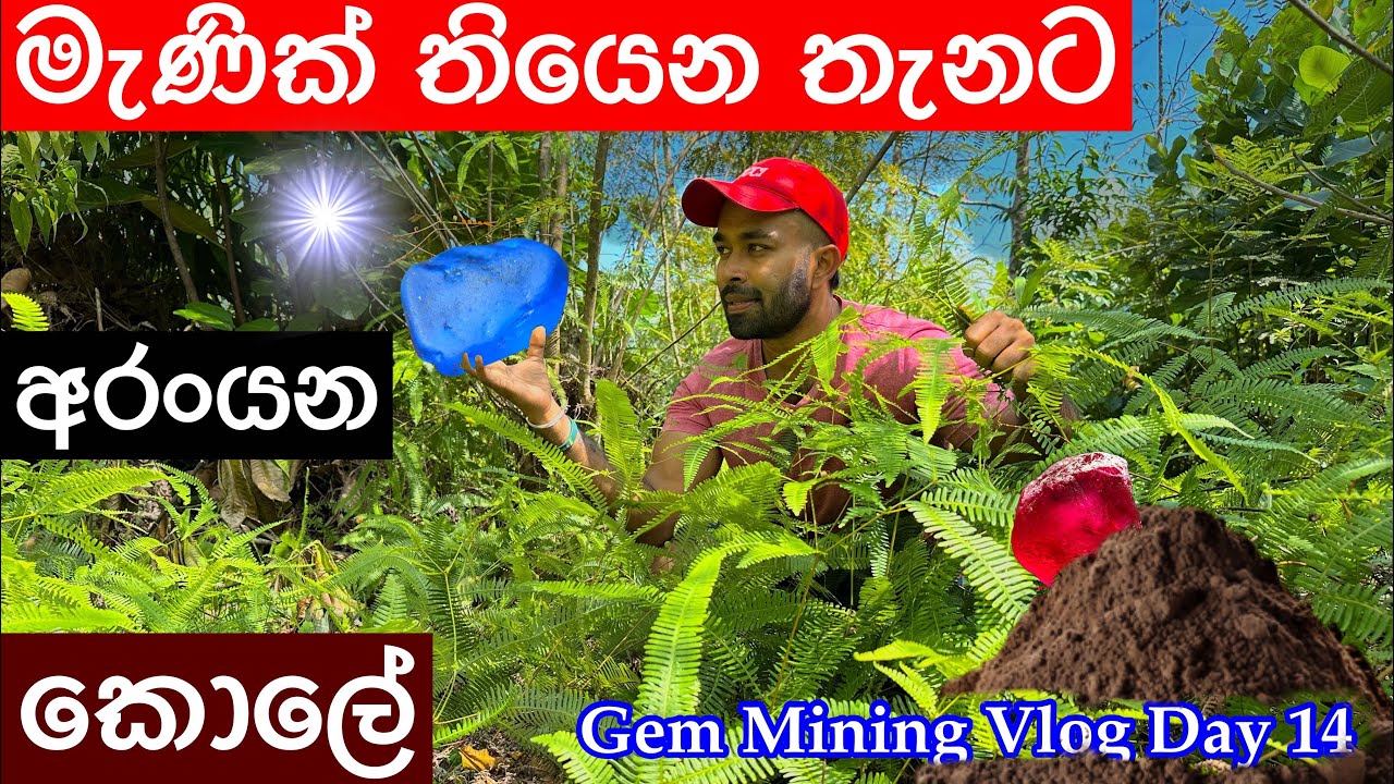 මැණික් හොයල දෙන කැලෑ කොලේ - Leaf That Lead To Gemstones - Gem Mining Vlog Day 14 #pooragems # ...