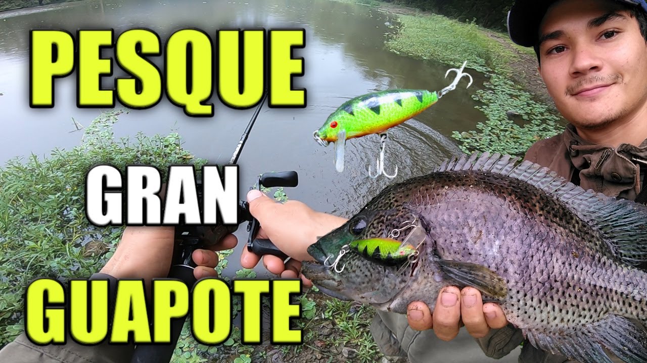 PESCA DE GUAPOTE CON MIS SEÑUELOS ARTESANALES. - YouTube