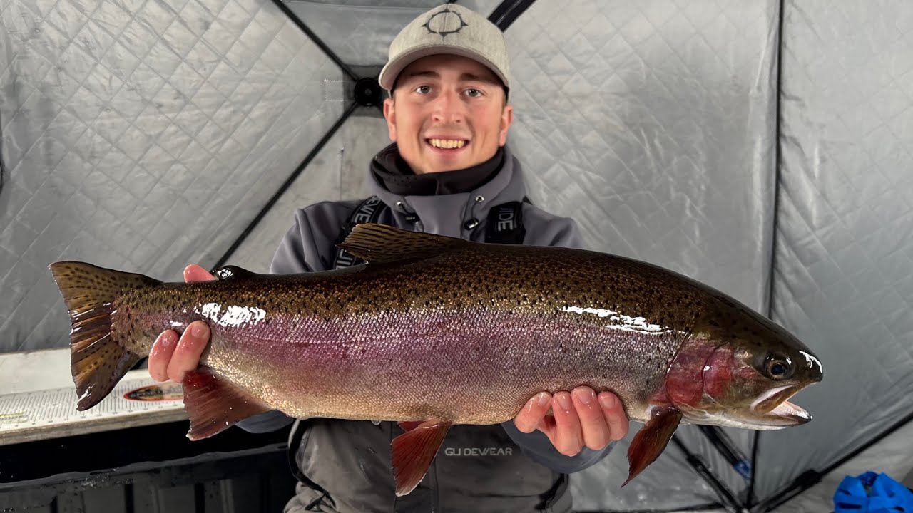 GIANT Rainbow Trout!! (Underwater Footage!!) - YouTube