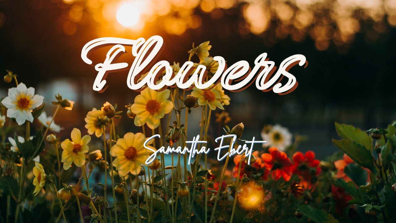 Flowers | Samantha Ebert (lyric and scenery) - YouTube