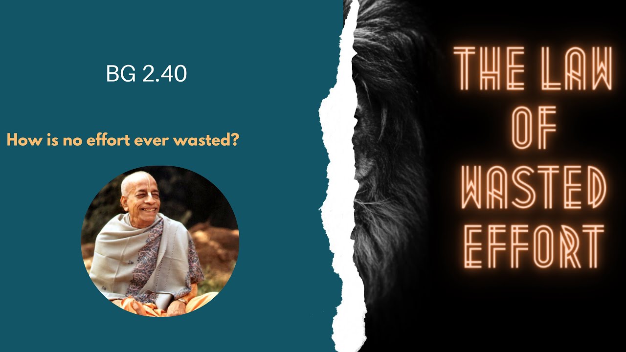 How is no effort ever wasted? | BG 2.40 - YouTube