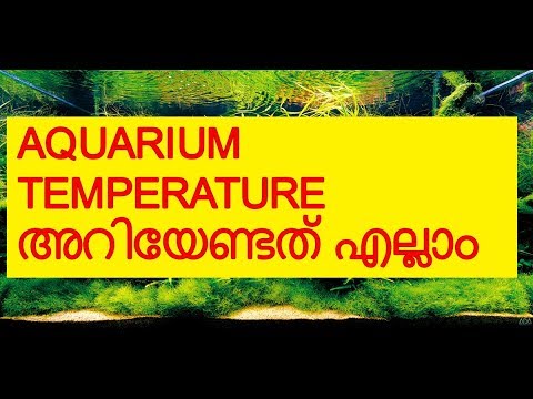 How to Maintain Aquarium Water Temperature | Vivek Parayil | Parayil ...
