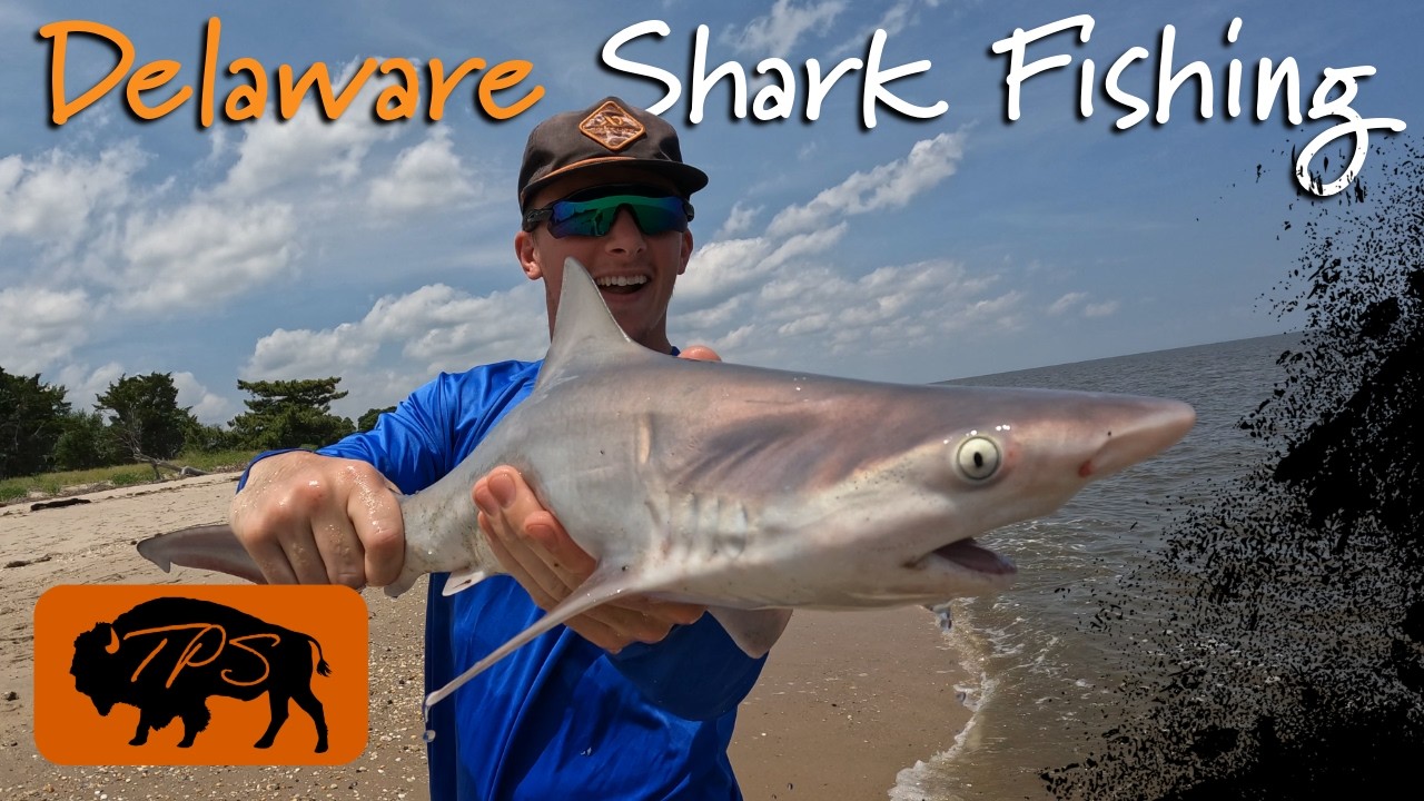 4 Days Shark Fishing and Camping The Delaware Coast - YouTube