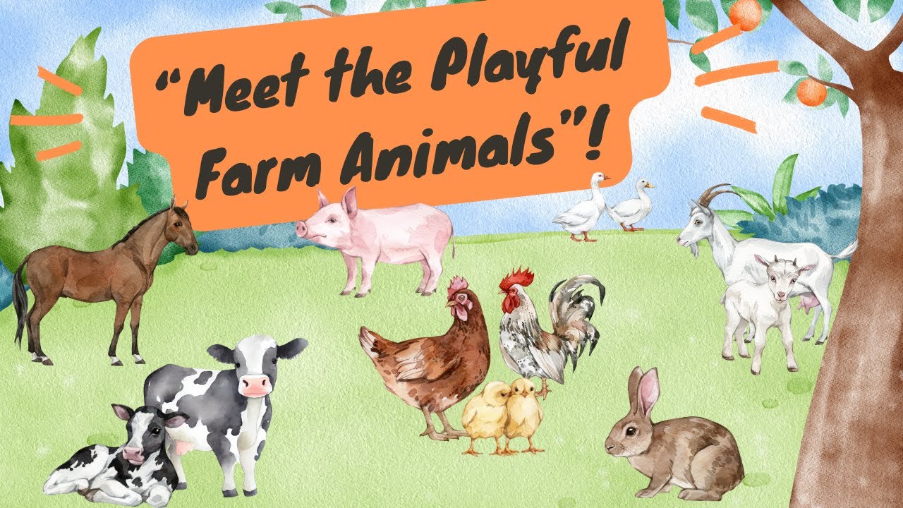 In the Farm: "Meet the Playful Farm Animals!" - YouTube