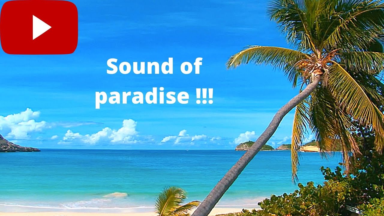 Ocean Waves On Tropical Island Ambience Sound |Paradise Beach Sounds ...