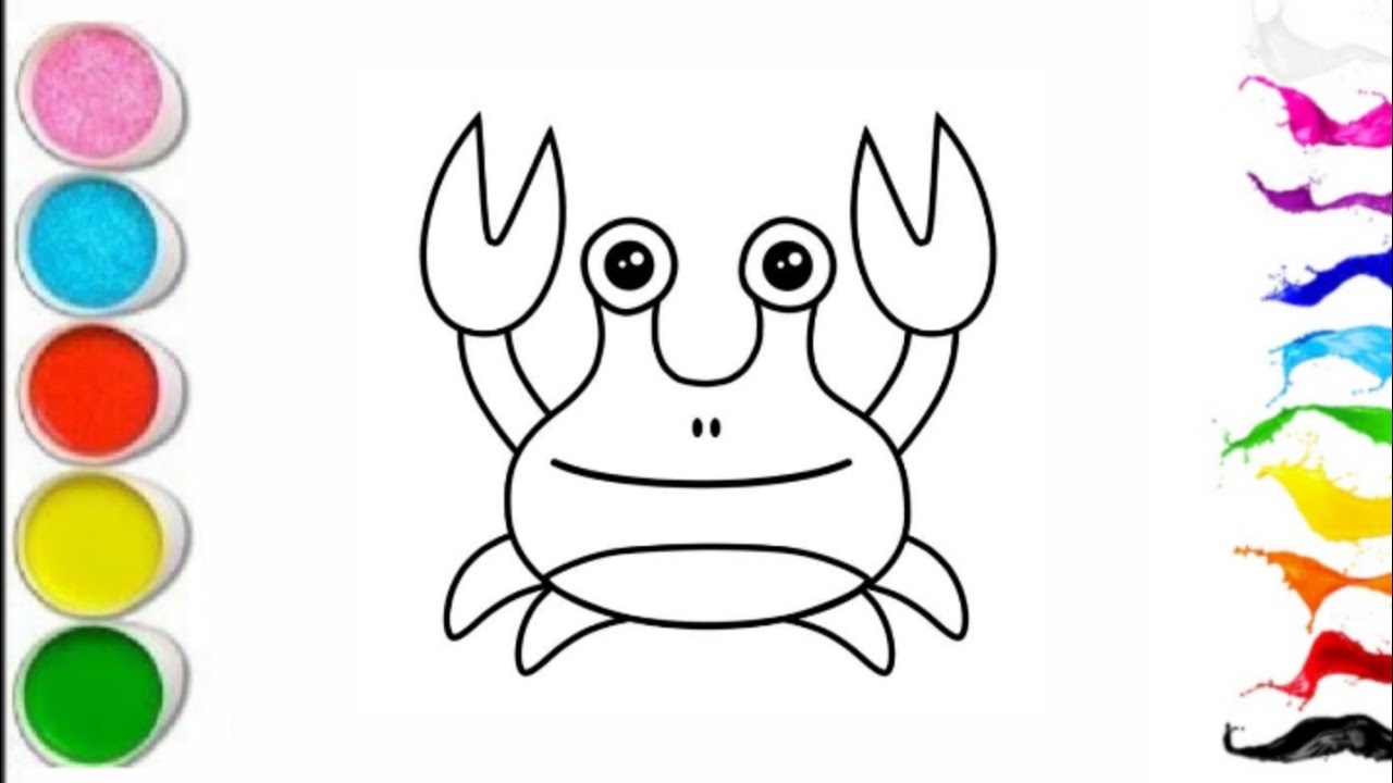 how draw insact for beginners/insact drawing easy learn step by step ...