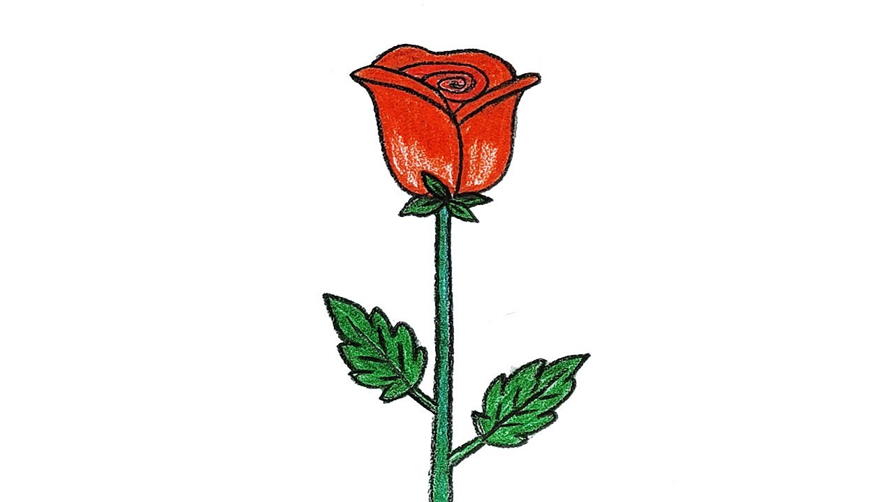 Simple & Beautiful Red Rose Drawing | Easy Step-by-Step Art Tutorial ...