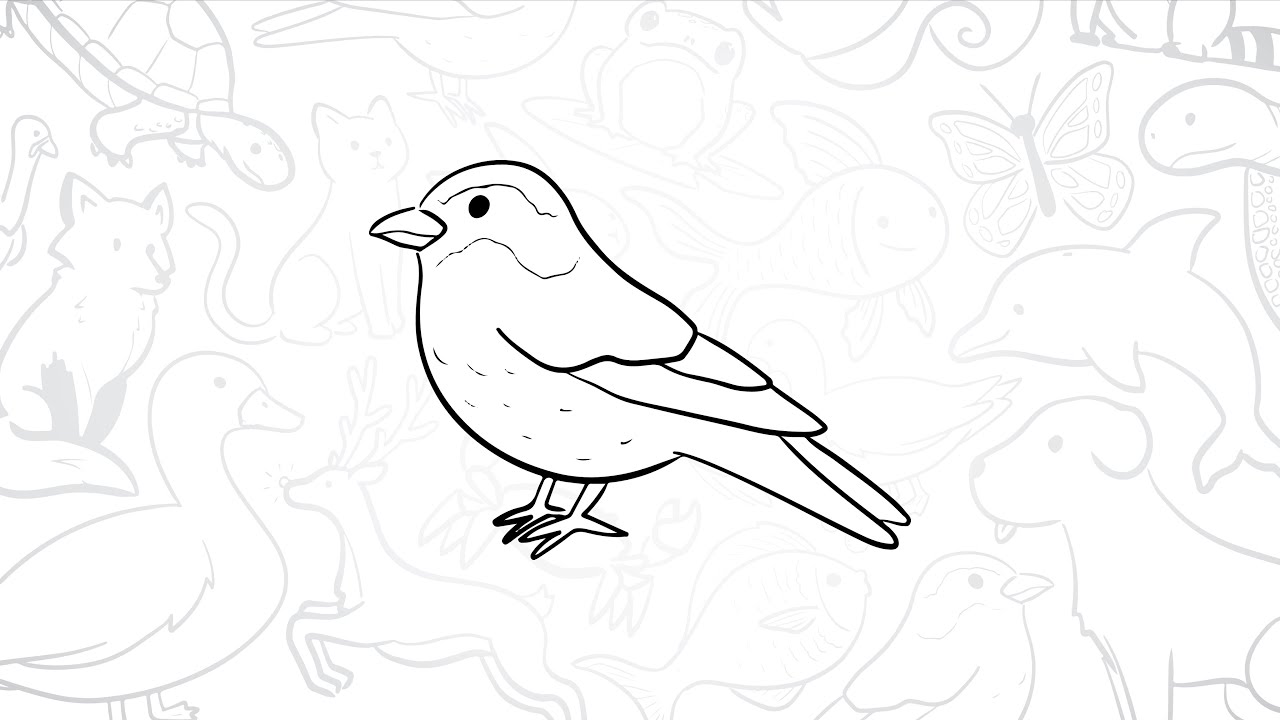 How to Draw a Simple Sparrow | Step-by-Step Lesson - YouTube