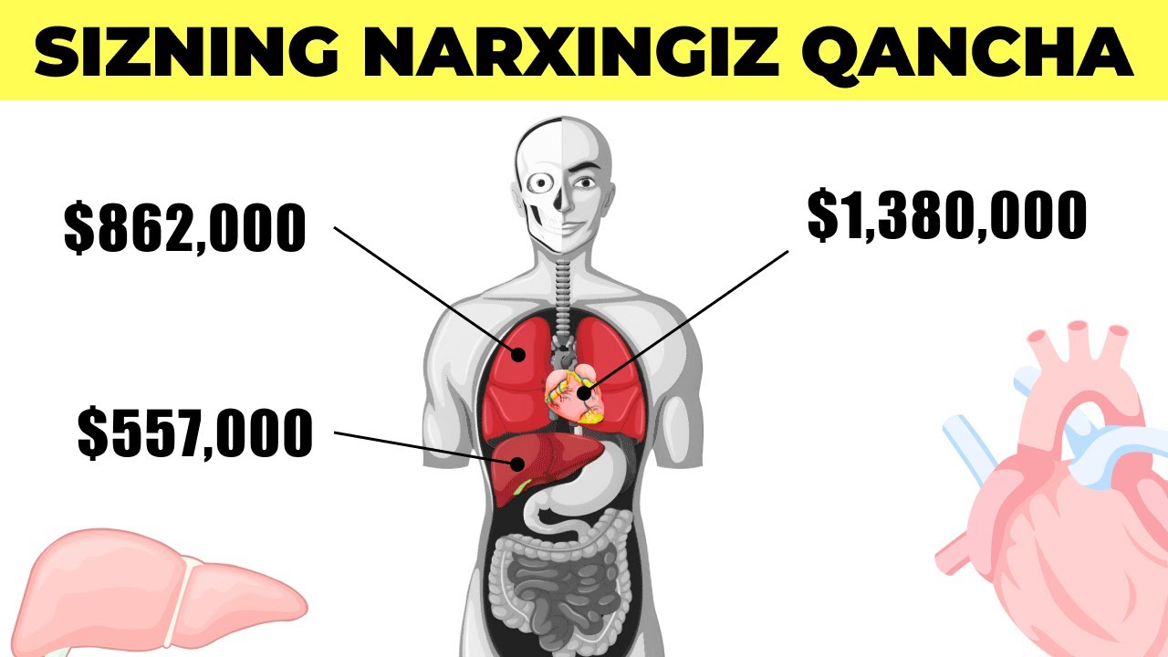 Топ 10 Инсон органлари нархлари // Top 10 Inson organlari narxlari ...