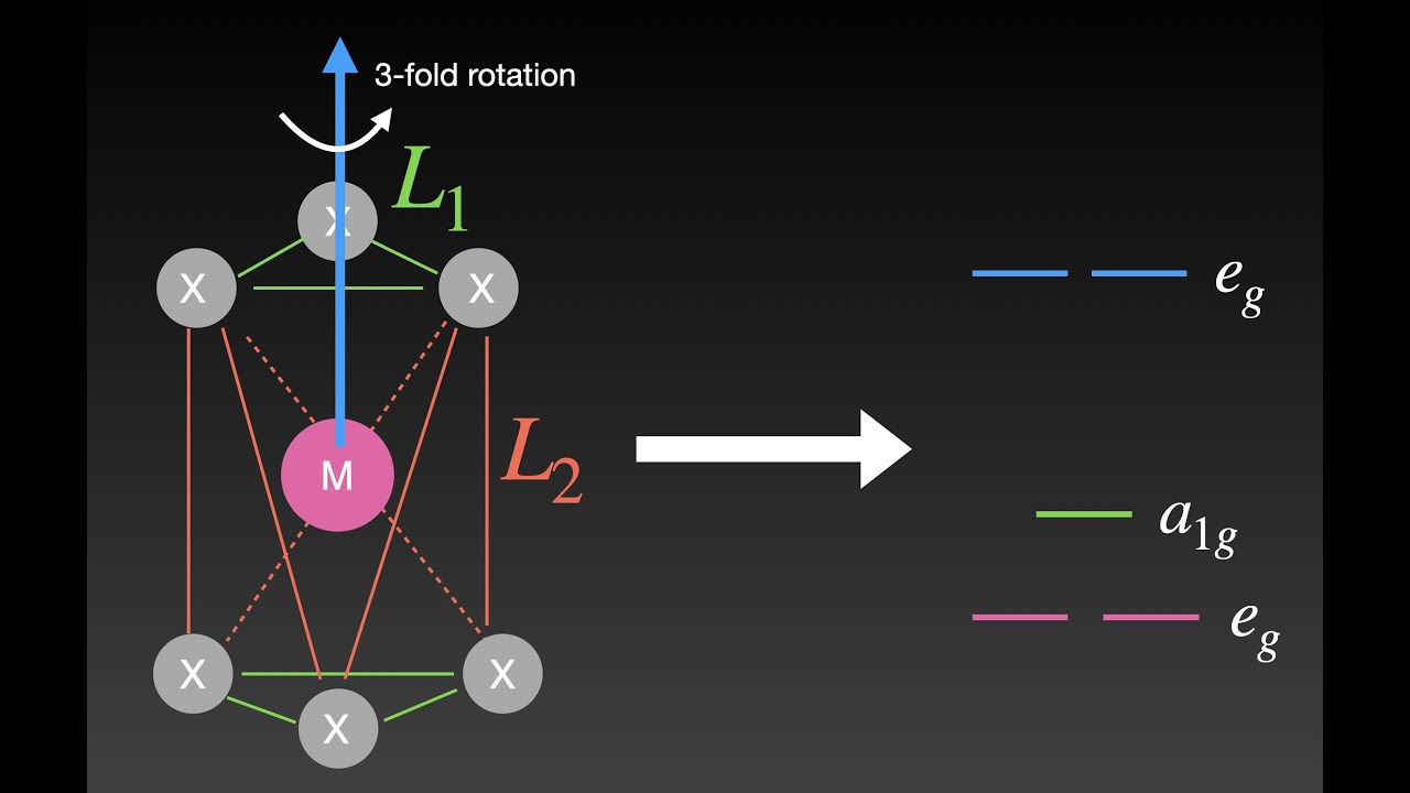Trigonal Symmetry and its electronic effects in 2D Dihalides and ...