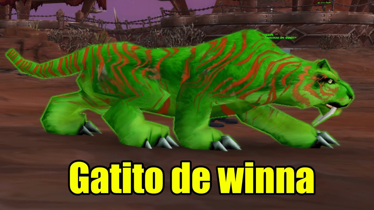 Gatito de Winna -World of Warcraft -Mascota Para Cazador - YouTube