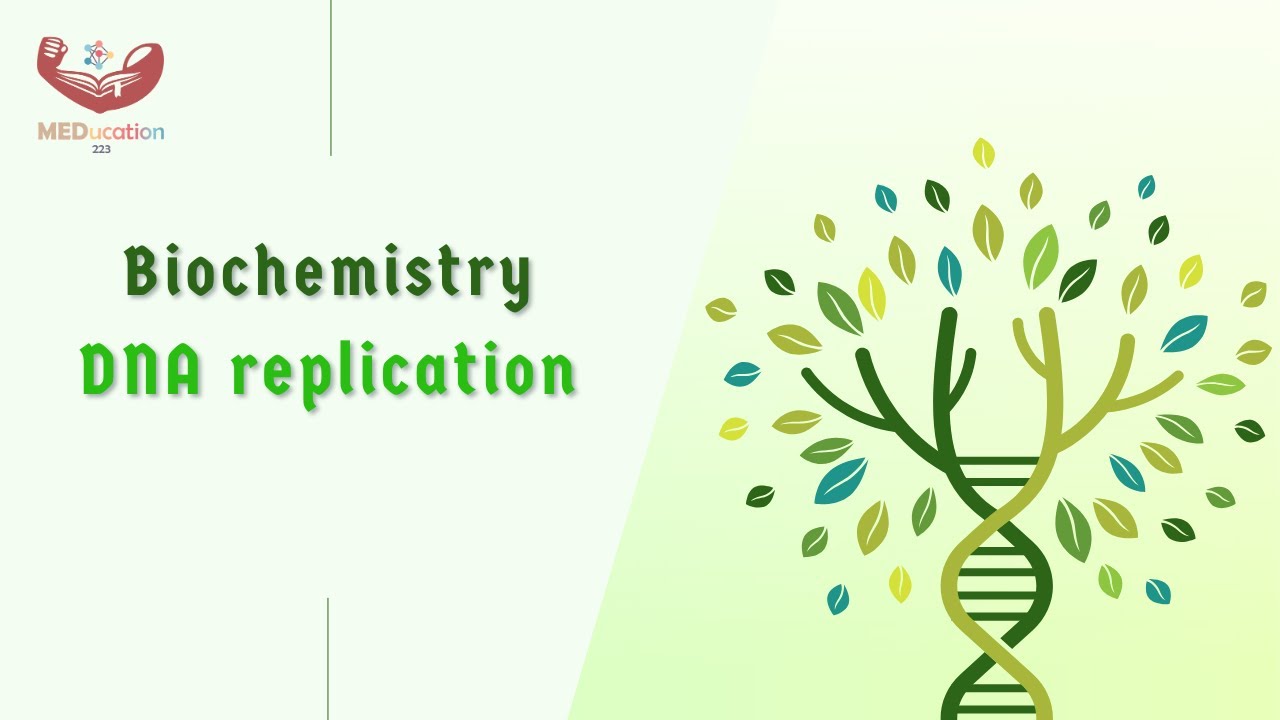 Biochemistry - DNA replication - YouTube