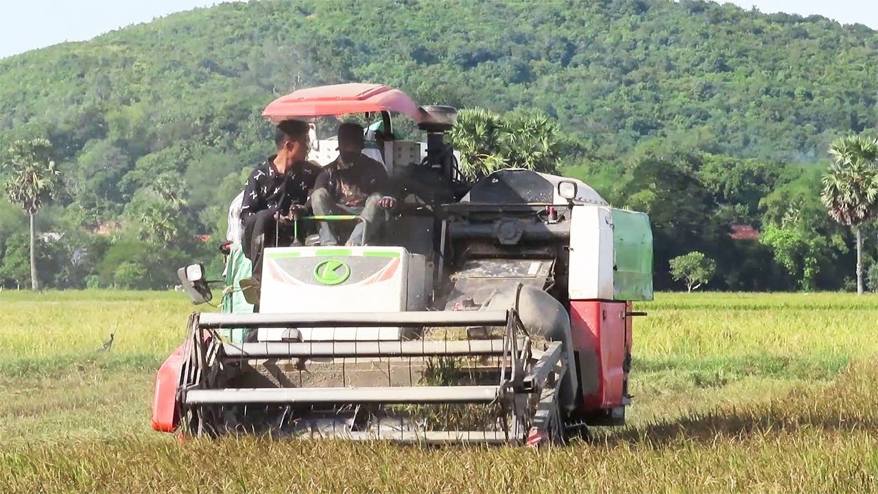 កសិកម្មសម័យទំនើប,ការច្រូតកាត់ស្រូវដោយម៉ាស៊ីន,Harvester Kubota Dc70 ...