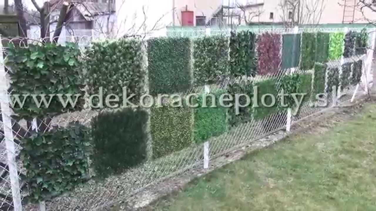 vzorky umelých živých plotov - WWW.DEKORACNEPLOTY.SK - YouTube