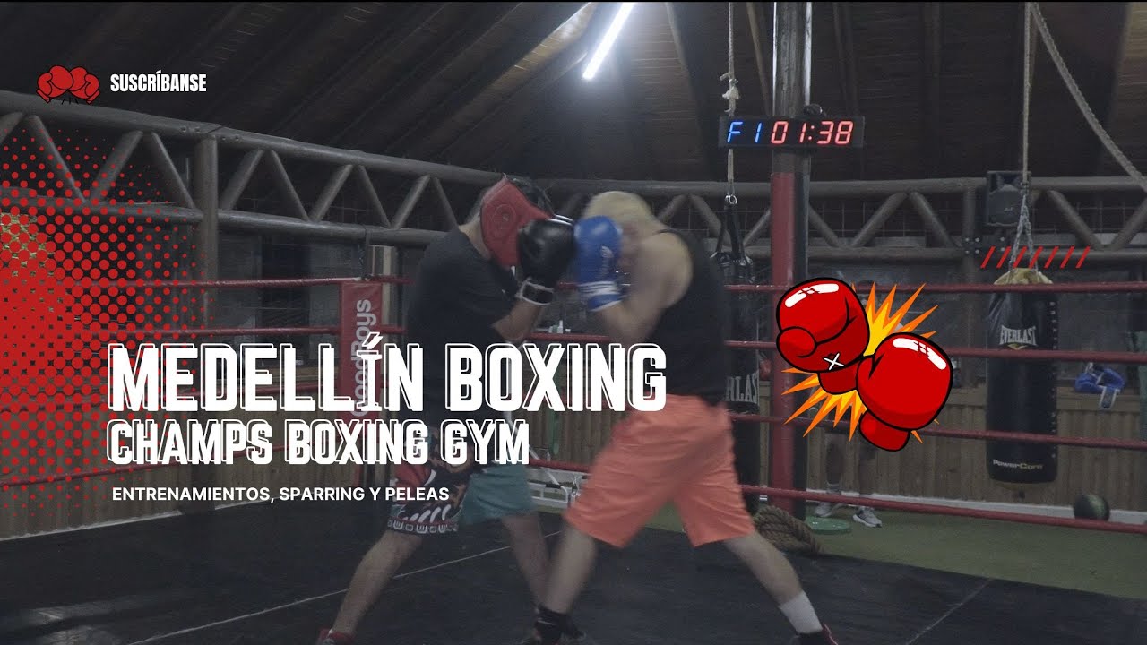 ENTRENAMIENTO EN CHAMPS BOXING GYM, BELLO + 3 RONDAS DE SPARRING ...