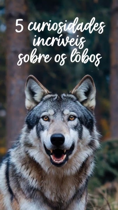 5 Curiosidades Incríveis sobre os Lobos #CuriosidadesSobreLobos #MundoDosLobos #Fascinio - YouTube