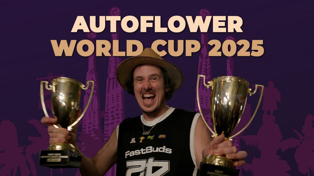 🏆 Fast Buds Sweeps Autoflower World Cup 2025! 🏆 Guava Auto, Z-Up ...