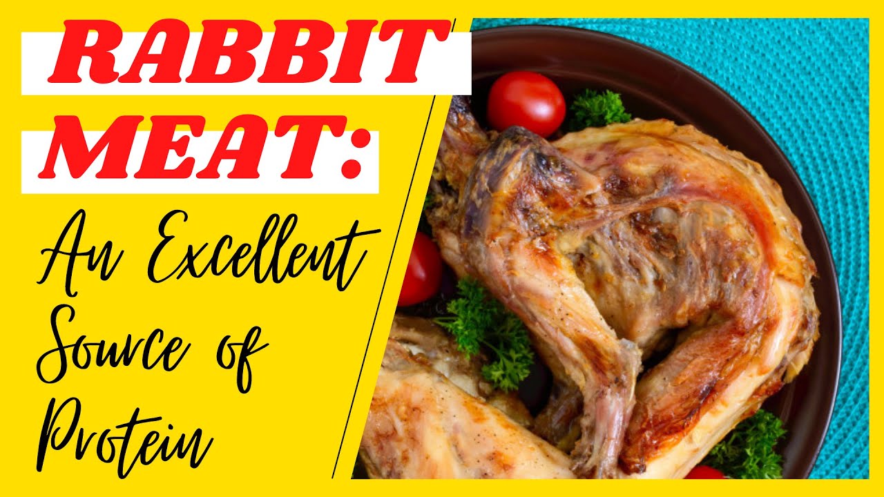 Rabbit Meat an Excellent Source of Protein - YouTube