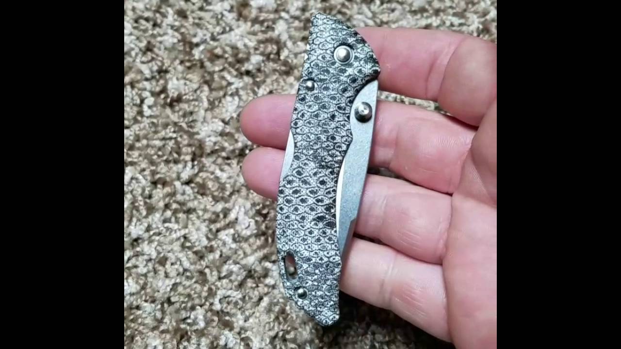 BUCK BANTAM BBW VIPER FOLDING POCKET KNIFE TACTICAL FOLDER USA SNAKE ...