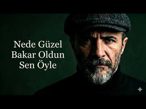 Nede Güzel Bakar Oldun Sen Öyle | Anatolian Acoustic Cover 