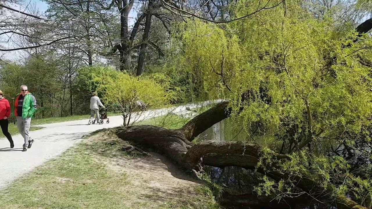 Spaziergang um den Lac Impressionen April 2020 - YouTube