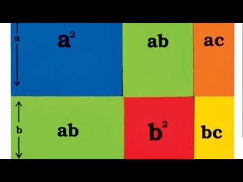 IDENTITY||CLASS 8 MATHS||CHAPTER 9 - YouTube