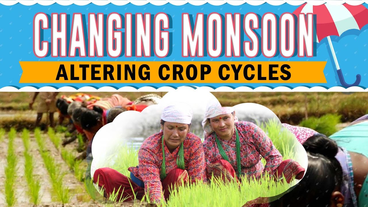 Changing Monsoon Altering Crop Cycles | Climate Change and Monsoon ...