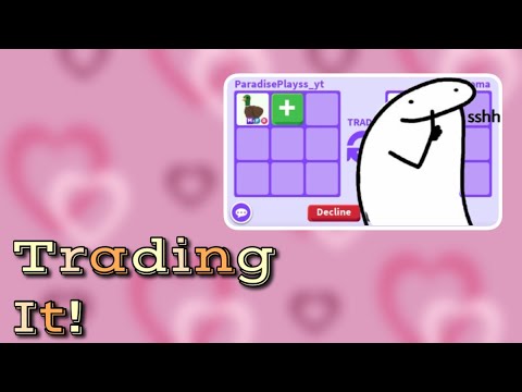 TRADING My MEGA Drake!! *adopt me* - YouTube