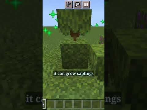 How To Make An Azalea Tree In Minecraft