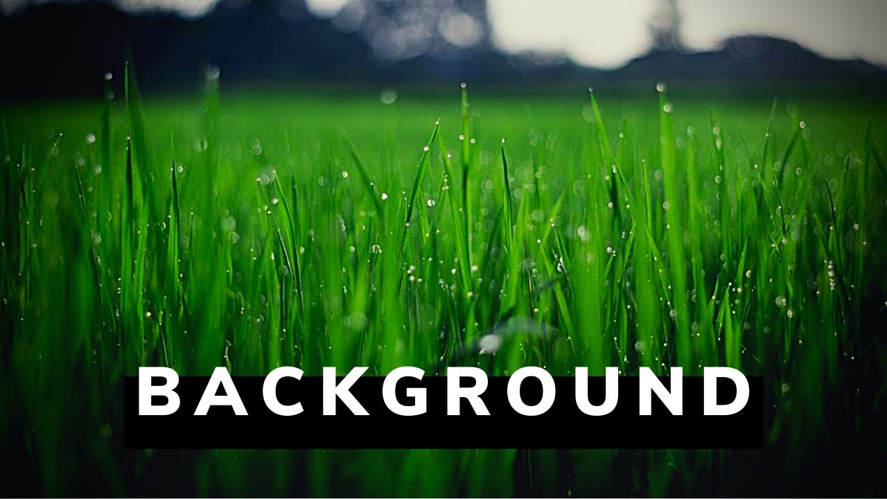 BACKGROUND VIDEO HD FOR YOUTUBE VIDEOS - YouTube