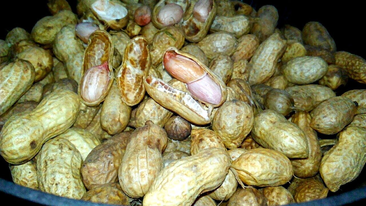 நிலக்கடலை/How To Boil Peanuts/Groundnut/South Indian Recipes - YouTube