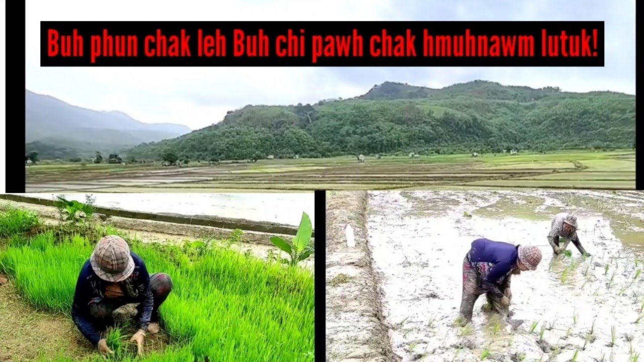 Leilet Buh phun chak leh Buh chi pawh chak hmuhnawm lutuk chu! - YouTube