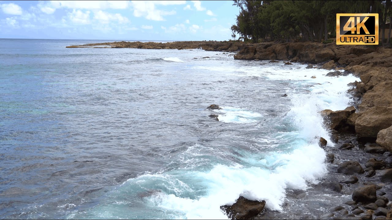 Relax & Fall Asleep with Loud Waves on Rugged Coastline | Ocean Sound ...