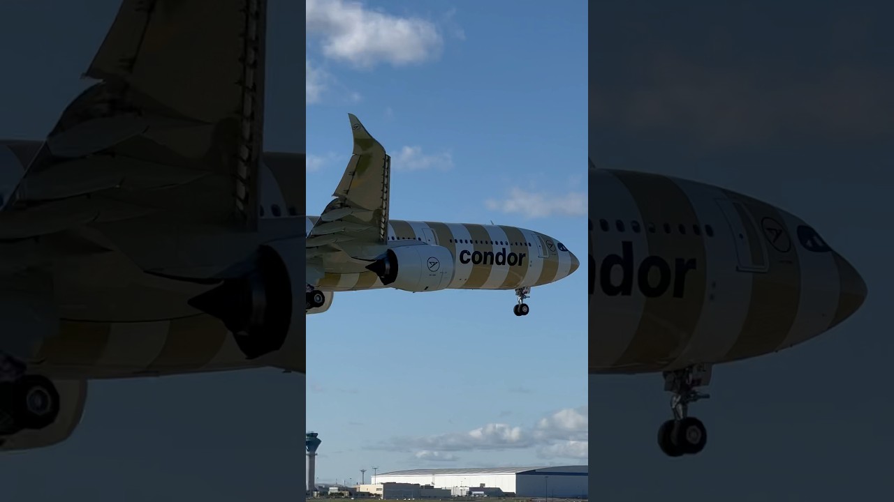 Condor Airbus 330 with Beige-Gold stripes . This livery represents ...