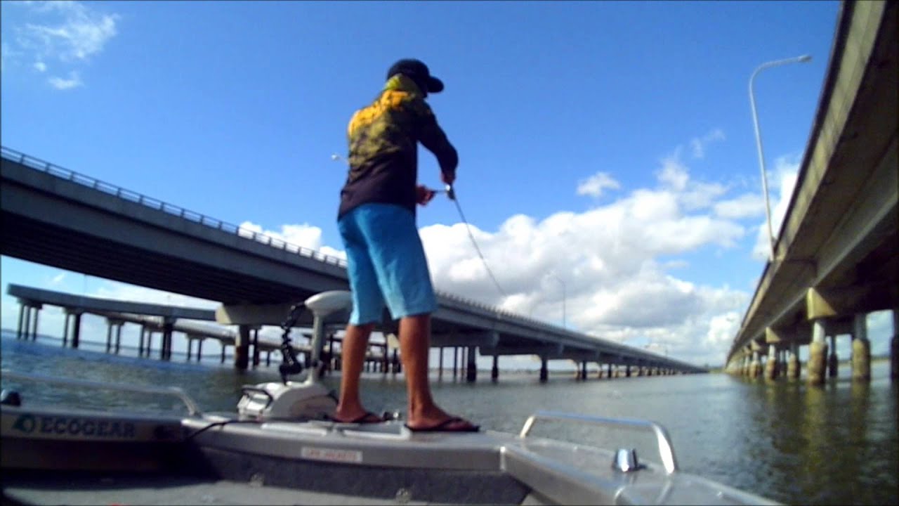 Bream fishing redcliffe - YouTube