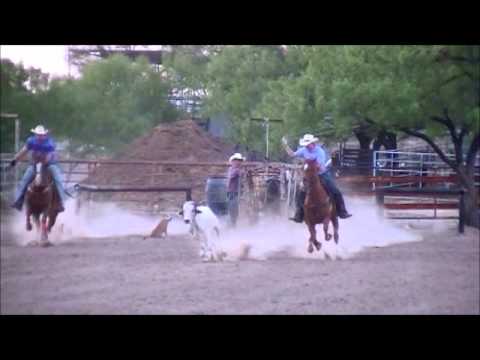 Team roping head horse for sale in south Texas - YouTube